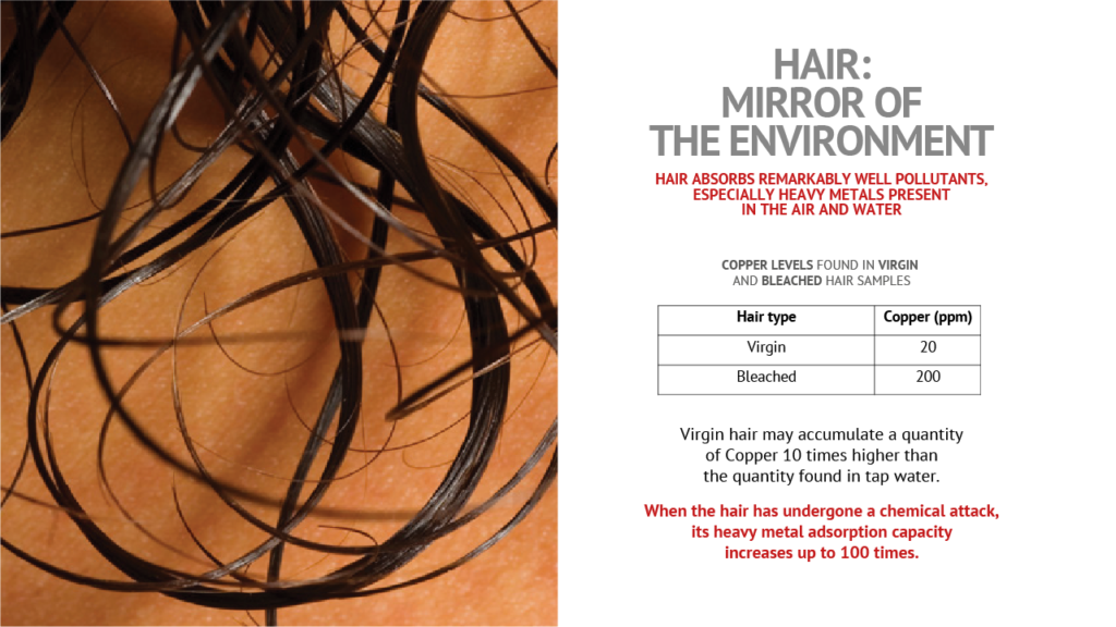 How to protect hair from pollution - Assessa